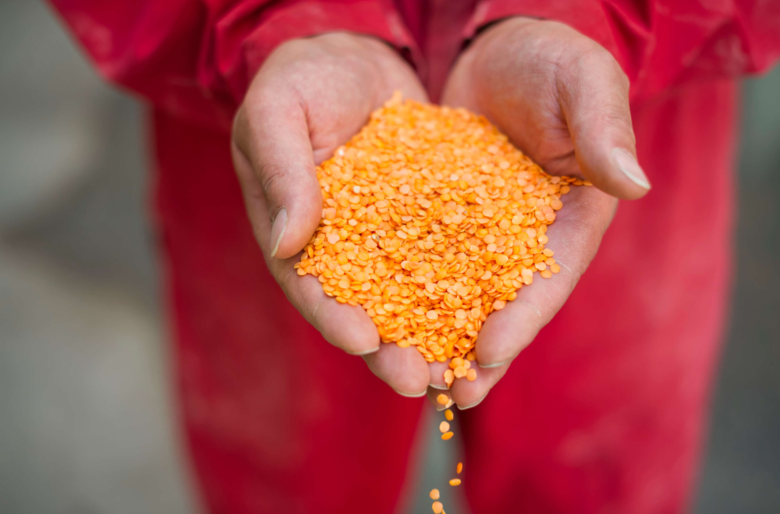 AGT Foods: Advancing Sustainable, Nutritious Food at Scale - Nourishing ...